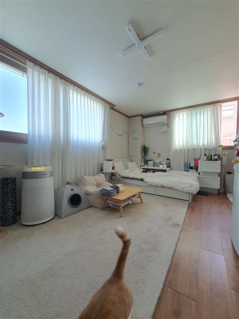 서울특별시 강서구 공항동 월세 50050 원룸방1욕실1 피터팬의 좋은방 구하기 서울특별시 강서구 공항동 월세 50050 원룸방1욕실1 피터팬의 좋은방 구하기