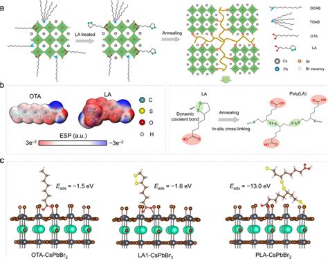 A Schematic Illustration Of The La‐treatment For Cspbbr3 Qds And