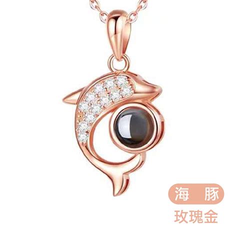 【925純銀項鍊 送項鍊盒】純銀 投影項鍊 項鍊 情人節 情人節禮物 生日禮物 聖誕節禮物 聖誕禮物 925純銀 蝦皮購物