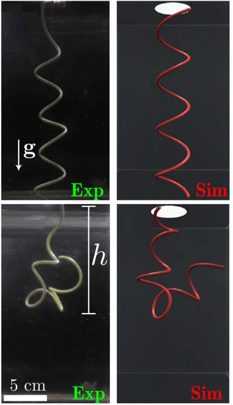 Thin Rods ‒ Flexlab ‐ Epfl