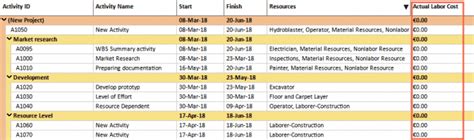 XER File Remove Resource Costs From Primavera P6