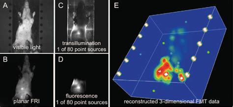Figure 1 From Multimodality Cardiovascular Molecular Imaging Part I