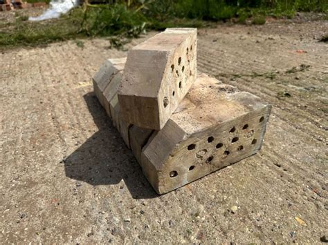 Antique And Reclaimed Plain Gault Single Cant Header Brick Salvoweb Uk