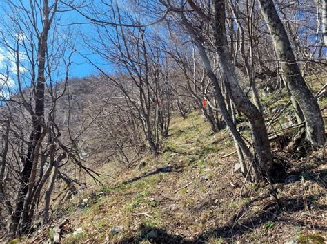 Връх Соколица - забравеният връх - Love Velingrad
