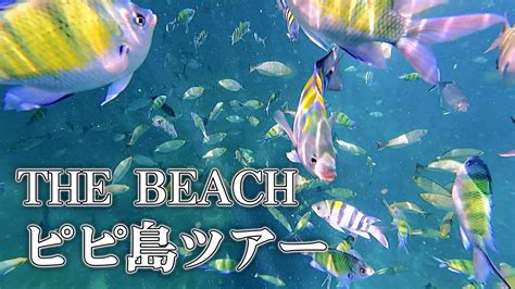 【ピピ島ツアー】ロイヤルプーケットマリーナから出航／バンブー島／ピピ・ドン島／モンキービーチ／ピピ・レイ島／映画the Beachの舞台