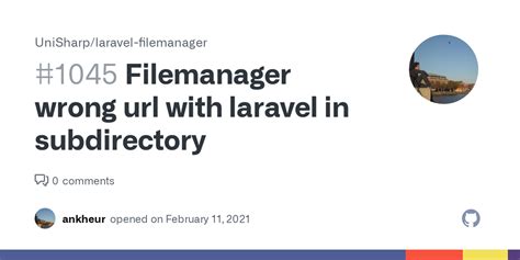 Filemanager Wrong With Laravel In Subdirectory Issue 1045