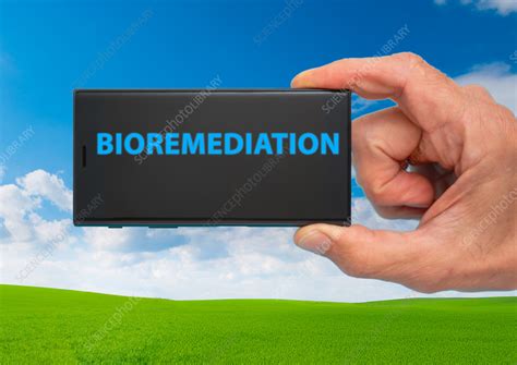 Bioremediation Stock Image F044 1148 Science Photo Library
