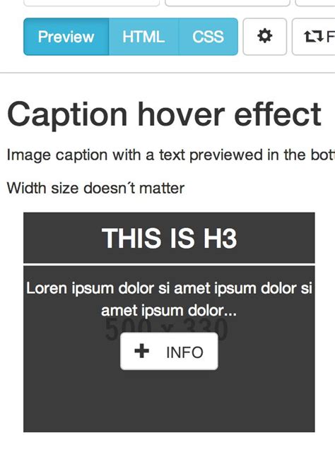 Css Hover Effect Css Image Caption Html Css