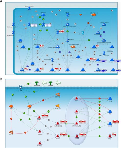 Metacore Analysis Of Altered Signaling Pathways In Oscc Samples A The