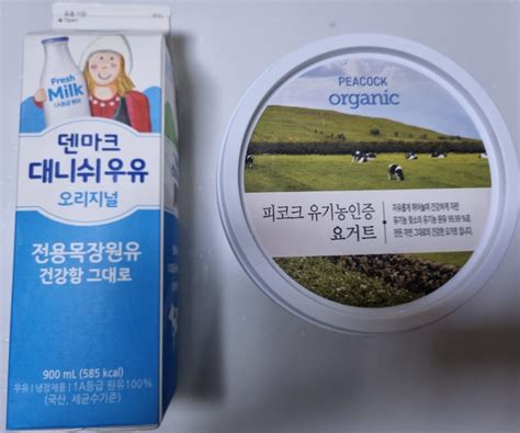 밥솥으로 그릭 요거트 만들기홈메이드키토 간식