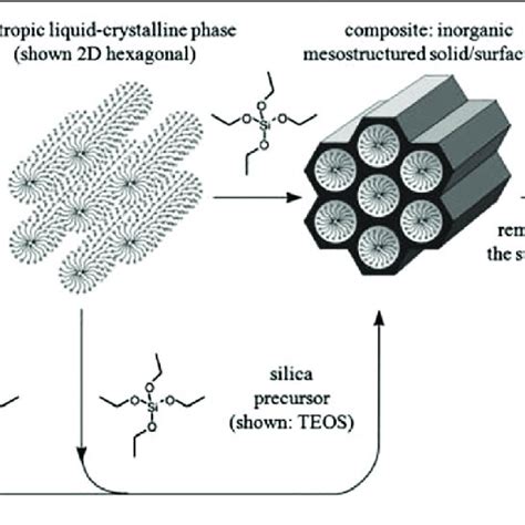 Possible Pathways For The Synthesis Of Mesoporous Materials A Download Scientific Diagram