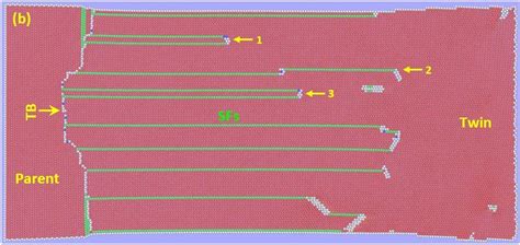 A Basal Stacking Faults Sfs Colored In Green Are Being Generated Download Scientific