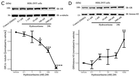 Sex And Age Differences In Glucocorticoid Signaling After An Aversive