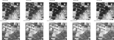 Figure 2 From Empirical Mode Decomposition Based Morphological Profile