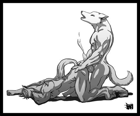 Rule 34 Anthro Canine Cum Equine Fur Furry Furry Only Gay Horse Male