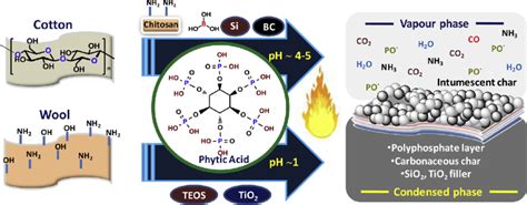Schematic Representation Of Phytic Acid Based Fr Cotton And Wool Download Scientific Diagram