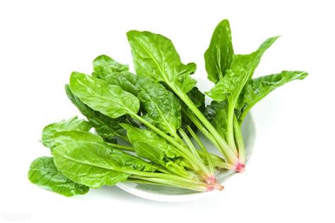 100种蔬菜白菜第3页大山谷图库