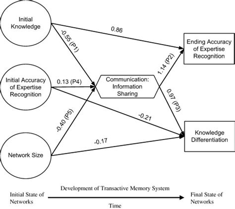 Modified Model Of Transactive Memory System Development With Download Scientific Diagram
