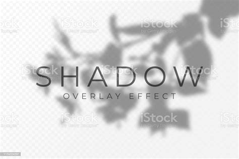 그림자 오버레이 효과 식물 가지 잎과 단풍에서 투명 한 부드러운 빛과 그림자 투명 한 그림자 오버레이 효과 와 자연 번개의 모형 그림자에 대한 스톡 벡터 아트 및 기타