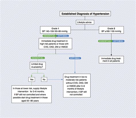 2020 International Society Of Hypertension Global Hypertension Practice
