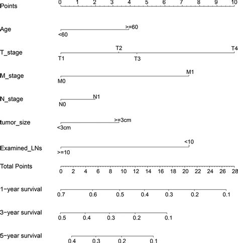 Model Predicted 1 3 And 5 Year Css Based On The Number Of Elns Download Scientific Diagram
