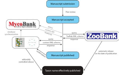 Automated Registration Process And Validation Of Finally Published Data