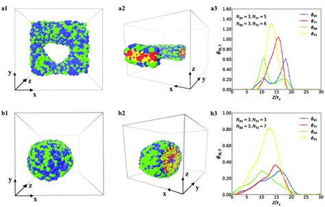 Representative Perforated Membrane And Spherical Vesicle In Solutions