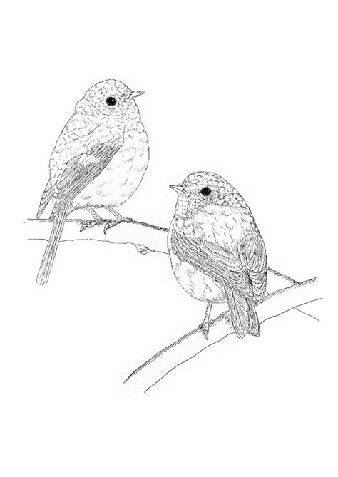 ぼうぼう工房 その他製作物 鳥絵
