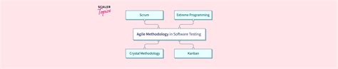 What Is Agile Methodology In Software Testing Scaler Topics