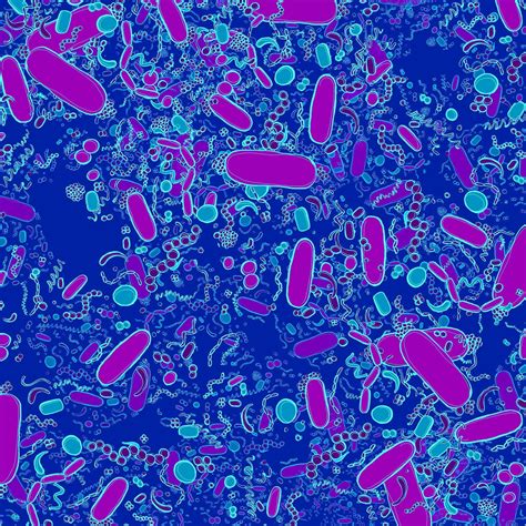 Bacteria Pattern Vivid Biology