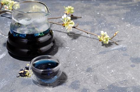 회색 파란색 콘크리트 배경에 이중 바닥 스탠드와 블루 티와 유리 컵 유리 주전자 클리토리아 양조 차 따뜻하고 아늑한 분위기 공간