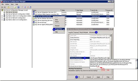 Microsoft Sql Server Windows Sa Ls