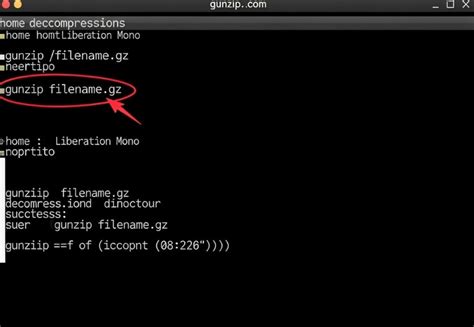 Gunzip Master The Linux Command Line Better 2025