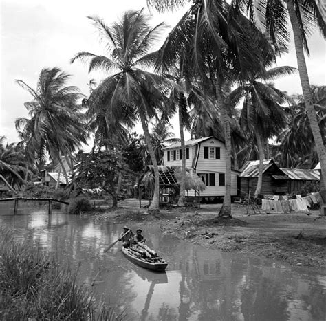 Javaanse Kampong In De Van Drimmelenpolder In Nickerie Bestanddeelnr