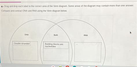 Drag And Drop Each Label To The Correct Area Of The Venn Diagram
