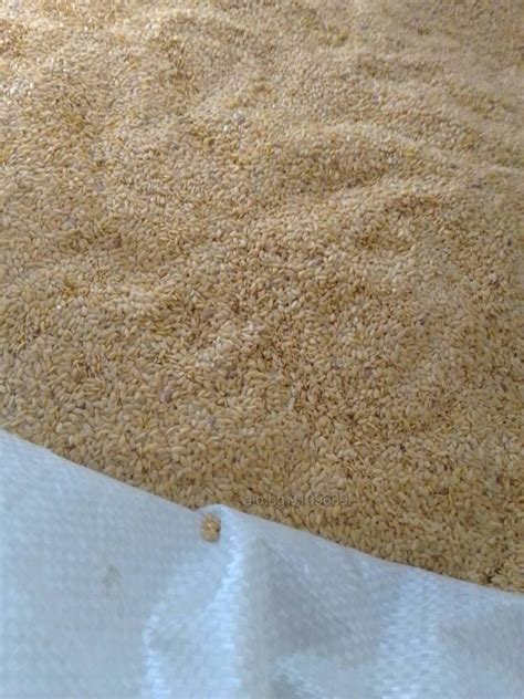 Златно ленено семе Селскостопански продукти Варна Земеделски производител от Украйна