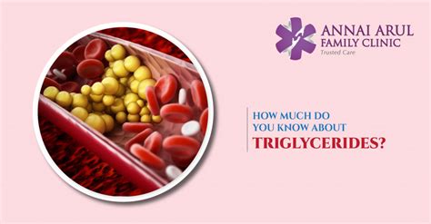 HOW MUCH DO YOU KNOW ABOUT TRIGLYCERIDES Multispeciality Hospitals In Chennai