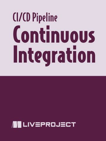 Continuous Integration Mitesh Verma