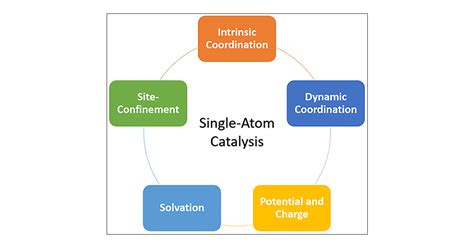 Understanding The Activity Of Carbon Based Single Atom Electrocatalysts From Ab Initio