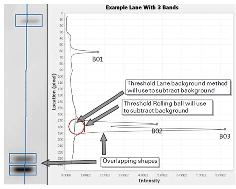 Lane Method Vs Rolling Ball From Imagej