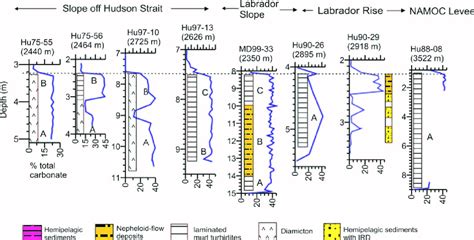 Sediment Facies And Carbonate Content Of Selected Labrador Sea Cores