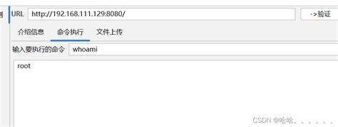 热门框架漏洞 Struts2struts2漏洞 Csdn博客