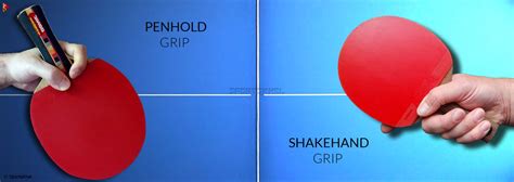 Types Of Table Tennis Racket Handles At Lisa Teixeira Blog