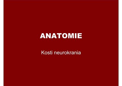 Pdf Anatomie Ismunicz · Sulci Arteriosi Sulcus Sinus Sagitalis