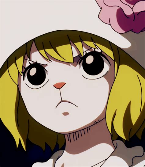 One Piece Tumblr Photo