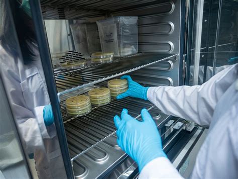 Biobank Sample Management From Data Chaos To Operational Clarity