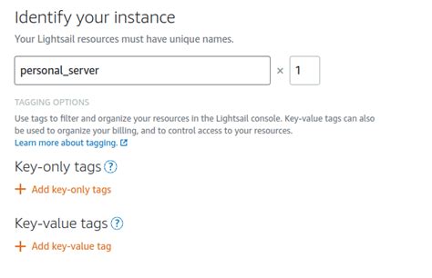How To Connect Aws Lightsail Instance Serveravatar