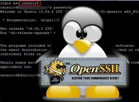 permisos de usuarios y grupos en un ssh server el taller del bit
