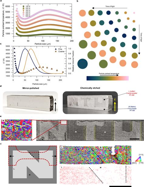 Psd Driven Grain Morphology And Size Control In 3d Printed Ss316l Download Scientific Diagram