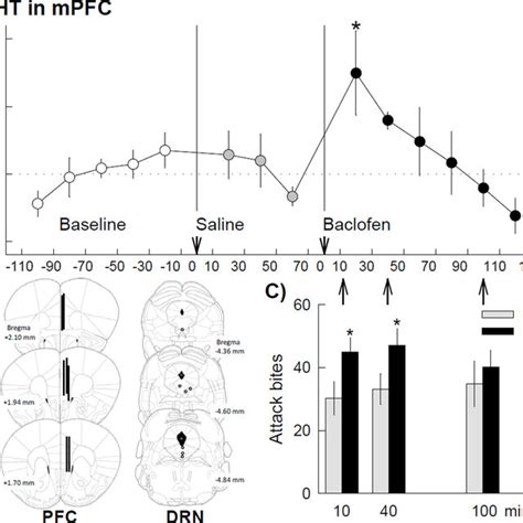 Extracellular 5 Ht Concentration In The Medial Prefrontal Cortex Mpfc